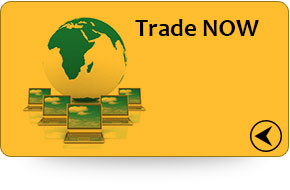 Welcome to RLP Securities